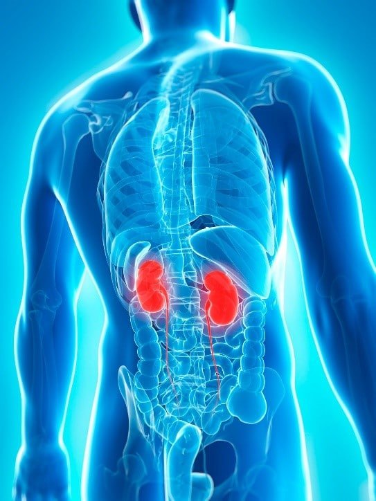 ΟΠΙΣΘΟΠΕΡΙΤΟΝΑΪΚΗ ΧΕΙΡΟΥΡΓΙΚΗ ΝΕΦΡΟΥ - Γενικος Χειρουργος, Αριστοτελης ...