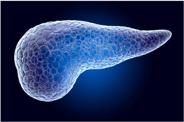 ΟΙ ΕΠΕΜΒΑΣΕΙΣ ΜΑΣ Archive - Page 3 of 6 - Γενικος Χειρουργος ...