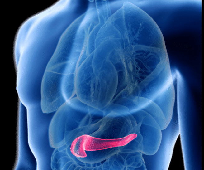 ΠΑΓΚΡΕΑΣ – ΣΠΛΗΝΑΣ - ΗΠΑΡ - Γενικος Χειρουργος, Αριστοτελης Κεχαγιας